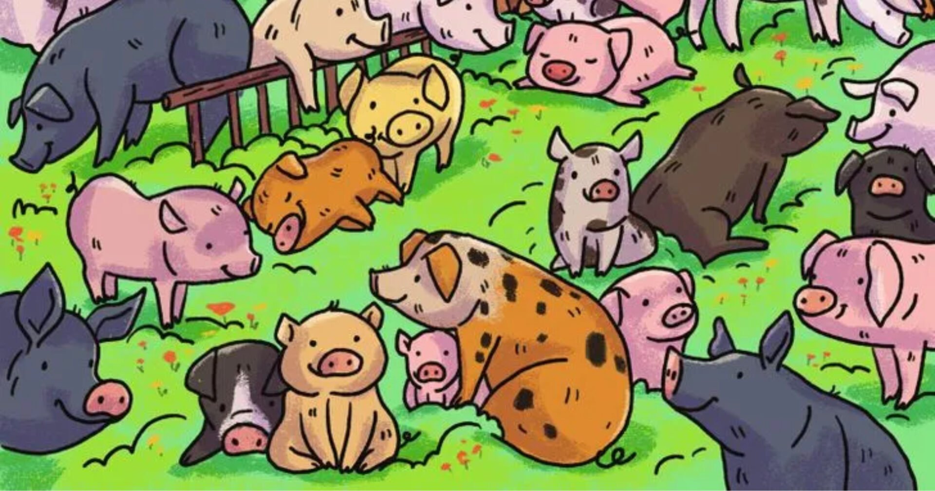 Desafio visual: Tente encontrar o hipopótamo em 8 segundos!